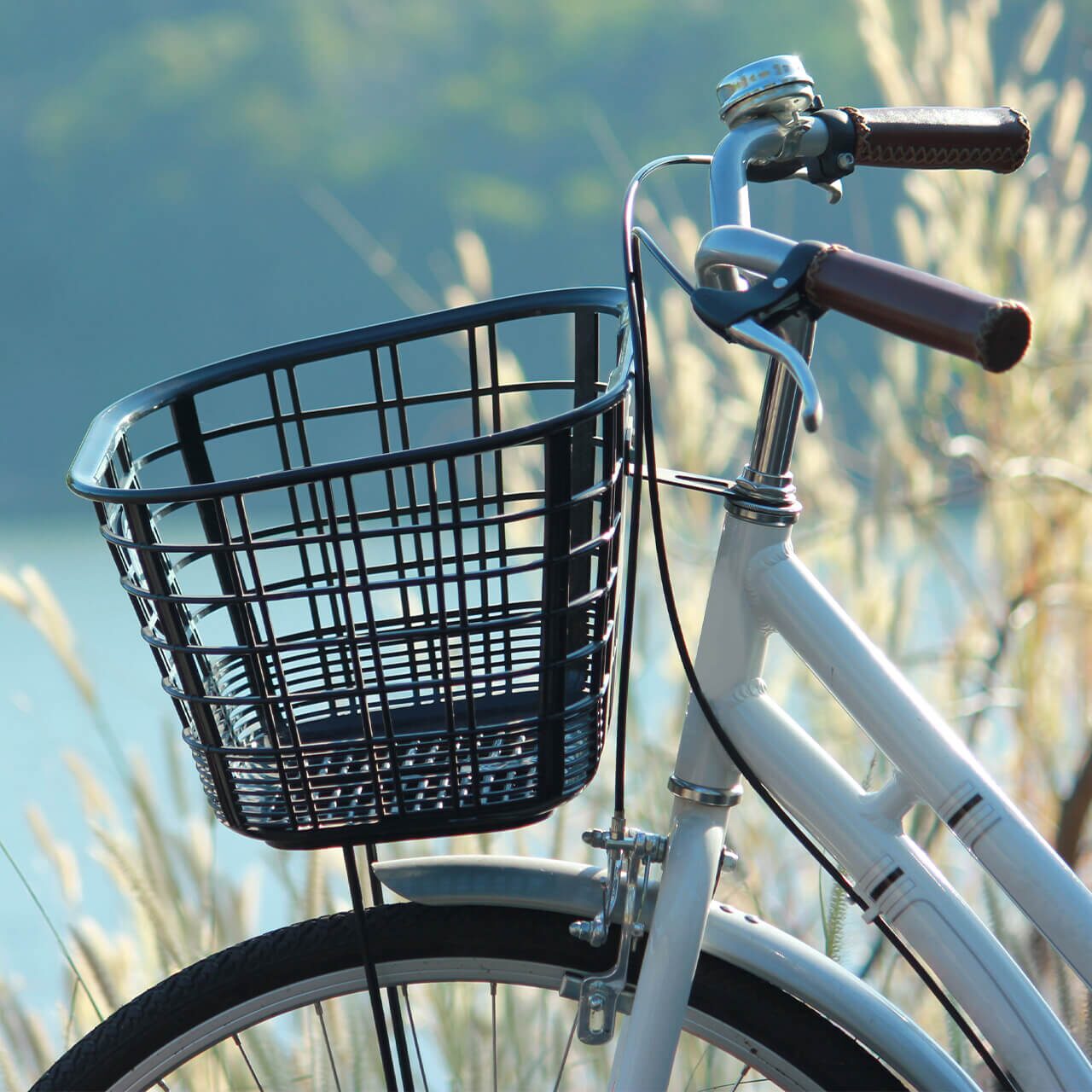 Descoperă Coșuri pentru Bicicletă: Față și Spate - Roll Fast